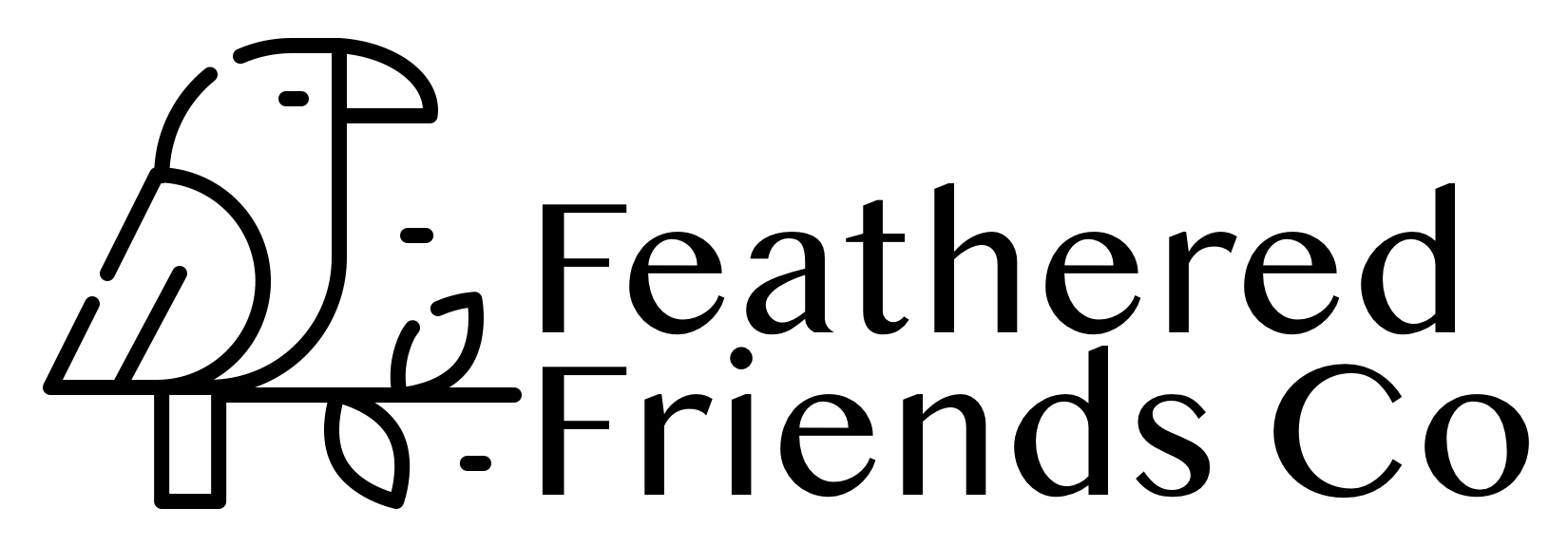 Gallery - Feathered Friends and Co.